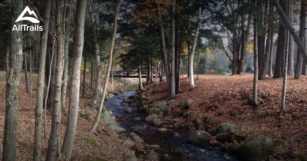 Bästa fågelskådningslederna i Moose Brook State Park | AllTrails