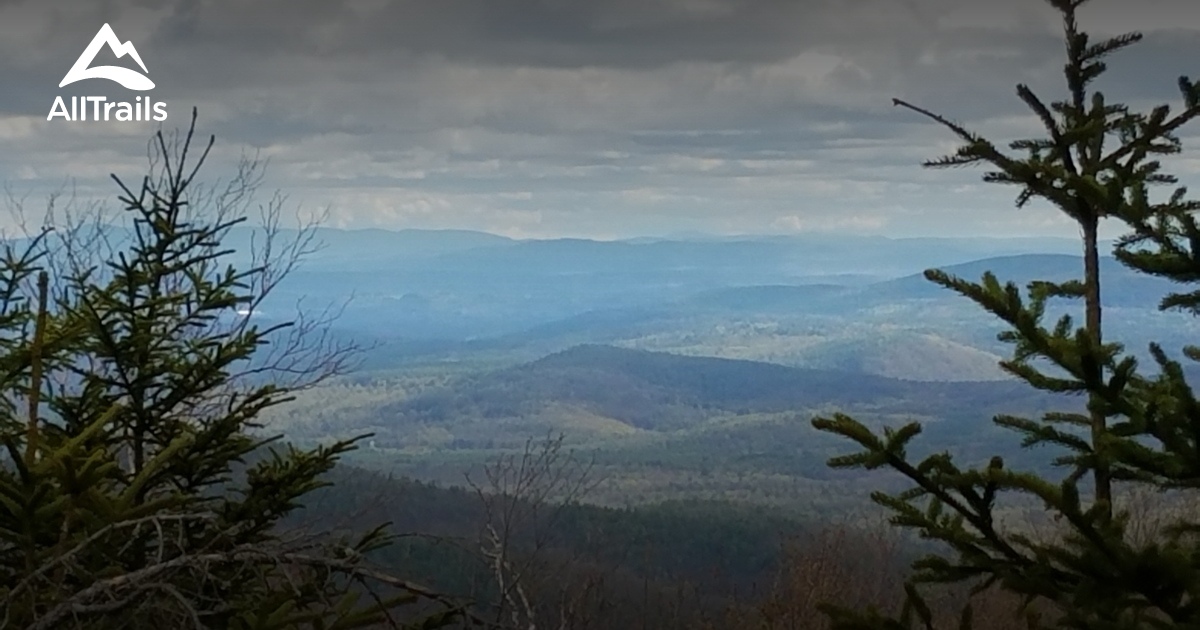 I migliori sentieri di trail running in Pillsbury State Park | AllTrails