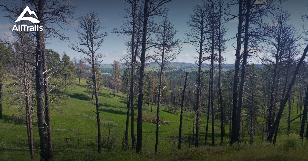 Best hikes and trails in Chadron State Park | AllTrails