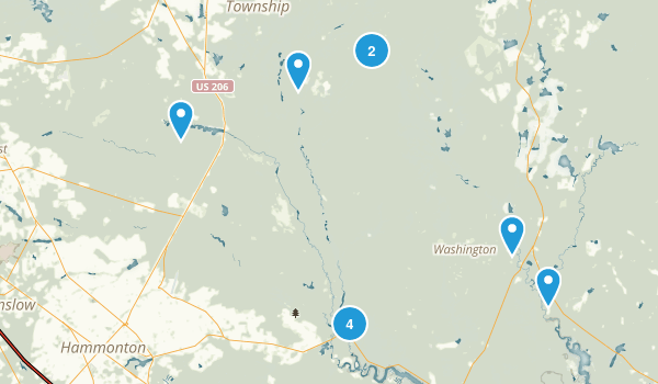 Best Trails in Wharton State Forest - New Jersey | AllTrails