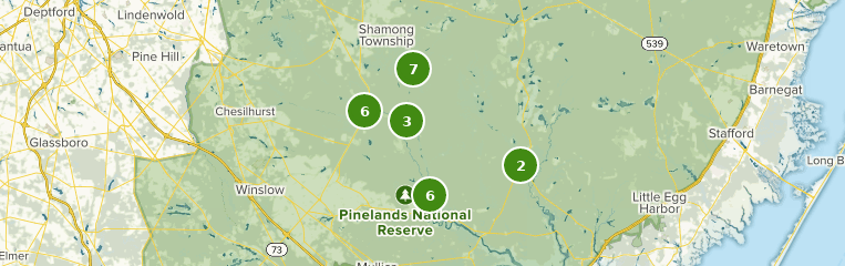 Best Trails in Wharton State Forest - New Jersey | AllTrails