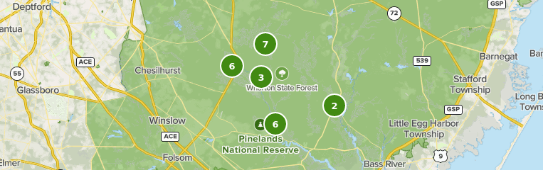 Best Trails in Wharton State Forest - New Jersey | AllTrails