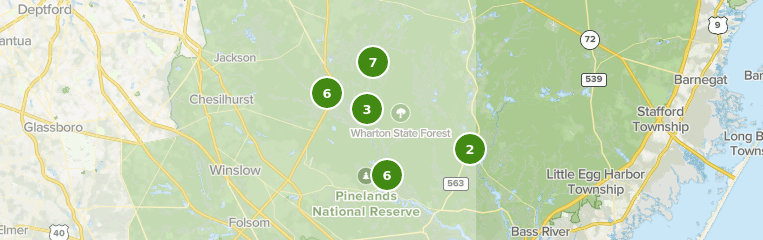 Best Trails in Wharton State Forest - New Jersey | AllTrails