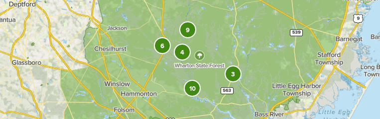 Bedste 10 ruter i Wharton State Forest | AllTrails