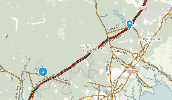 Best Trails in Bass River State Forest - New Jersey | 21 Photos & 18 ...