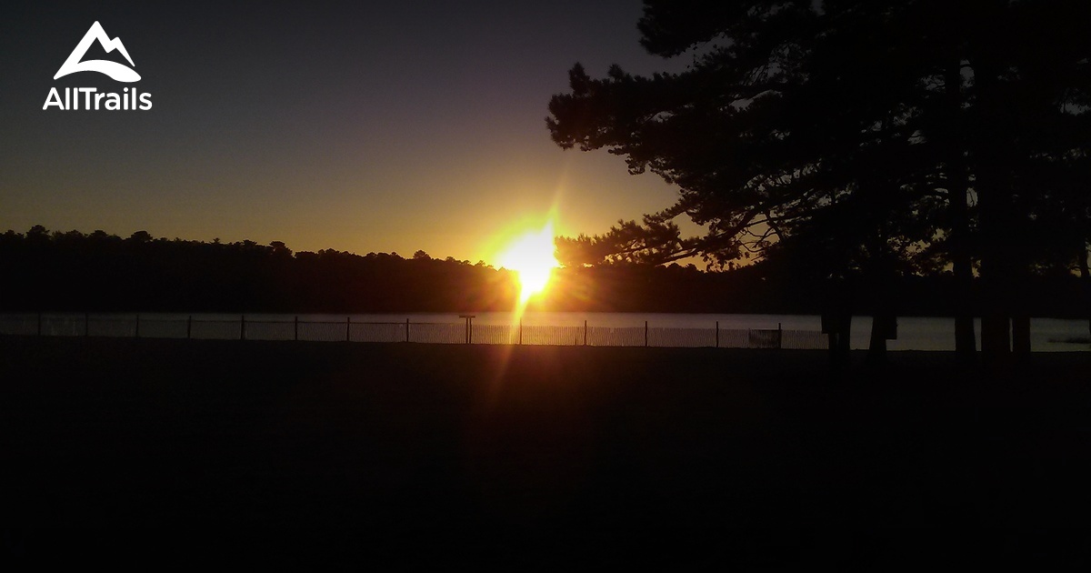 Best Trails in Bass River State Forest - New Jersey | AllTrails