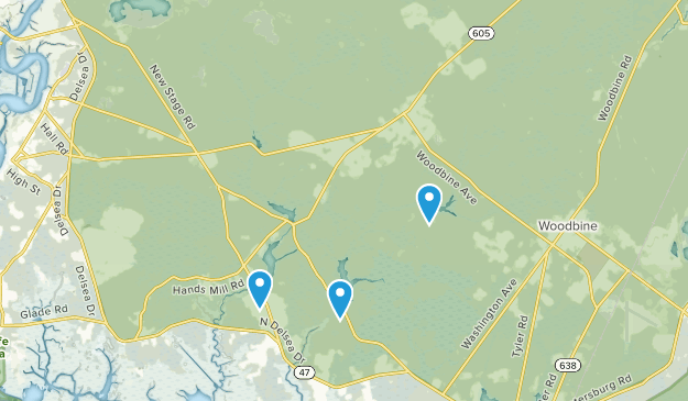 Best Trails in Belleplain State Forest - New Jersey | AllTrails