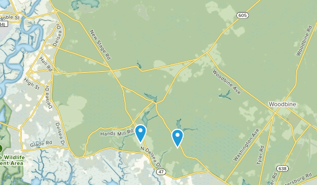 Best Trails in Belleplain State Forest - New Jersey | AllTrails