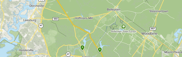 Best trails in Belleplain State Forest, New Jersey | AllTrails