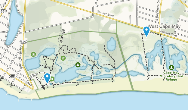 Best Trails in Cape May Point State Park - New Jersey | AllTrails