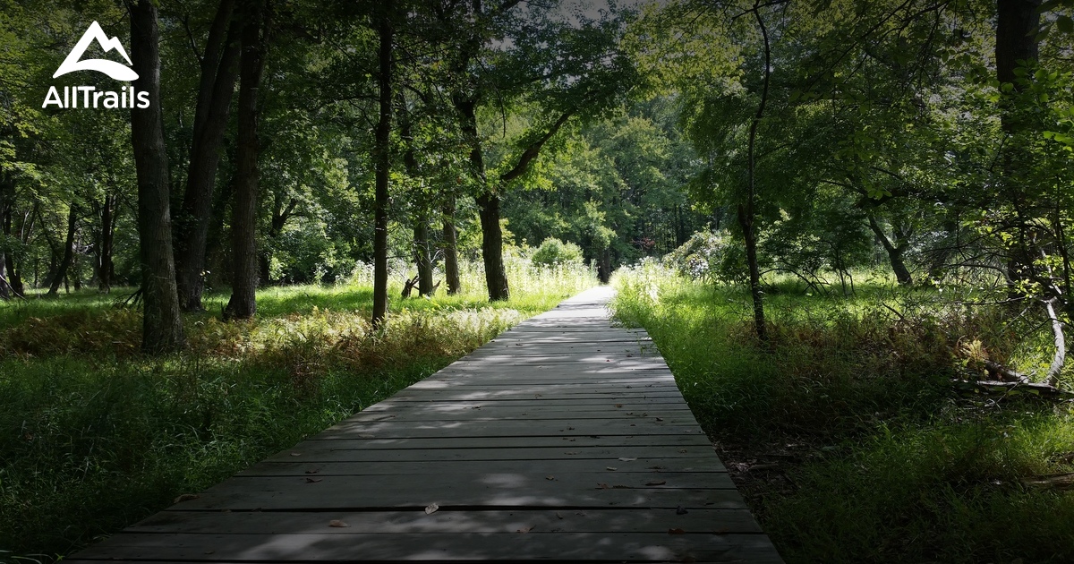 Best Trails in Cheesequake State Park - New Jersey | AllTrails