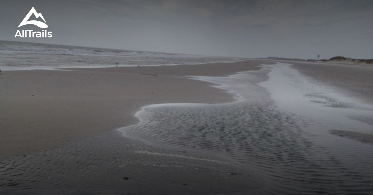 Best Trails in Corson's Inlet State Park - New Jersey | AllTrails