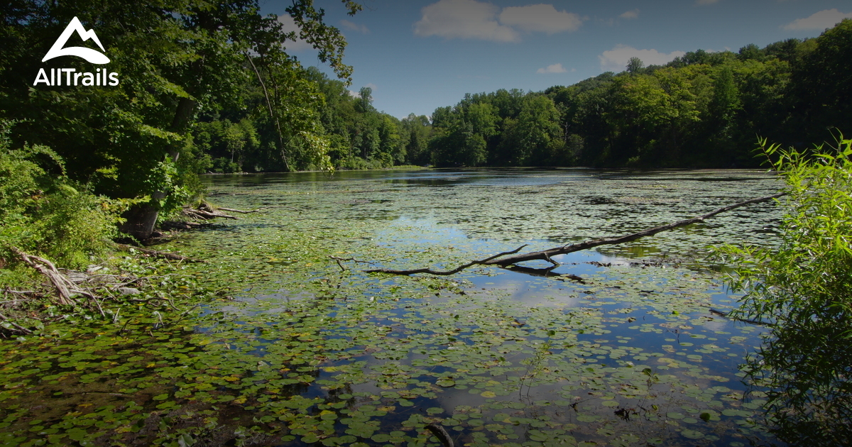 Best Trails in Jenny Jump State Forest - New Jersey | AllTrails