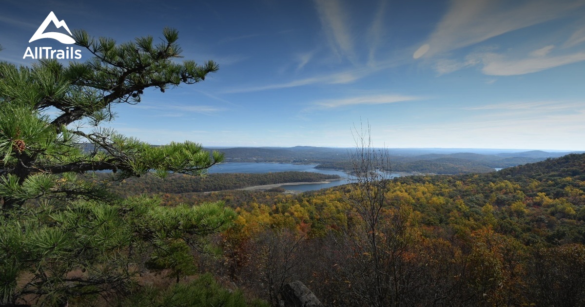 Best Trails in Norvin Green State Forest - New Jersey | AllTrails