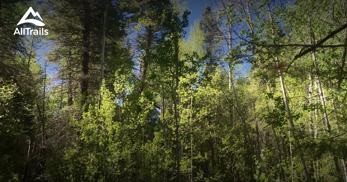 Najlepsze szlaki do biegania w terenie w: Hyde Memorial State Park ...