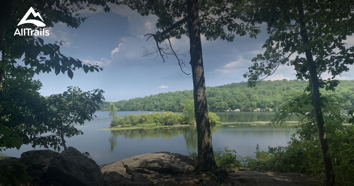 Best Trails in Ramapo Mountain State Forest - New Jersey | AllTrails