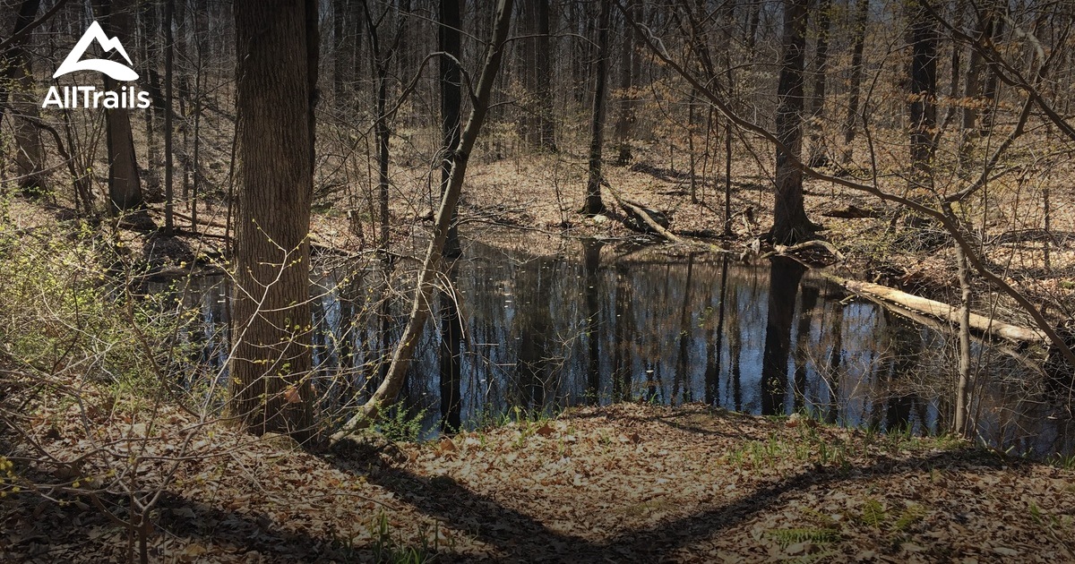 Best forest trails in Stephens State Park | AllTrails
