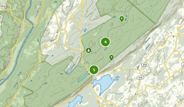 Best Trails in Stokes State Forest - New Jersey | AllTrails