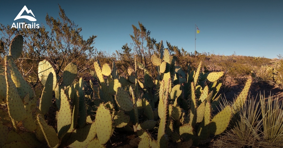 Best hikes and trails in Pancho Villa State Park | AllTrails