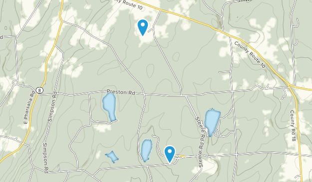 Best Trails in Bowman Lake State Park - New York | AllTrails