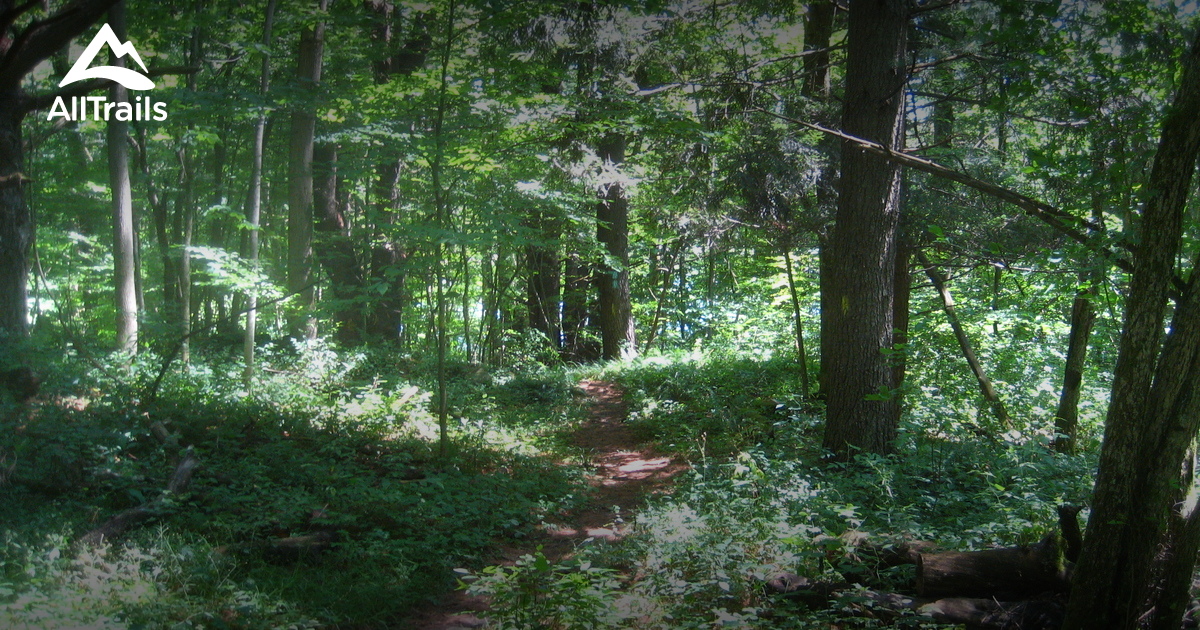 Best Trails in Bowman Lake State Park - New York | AllTrails