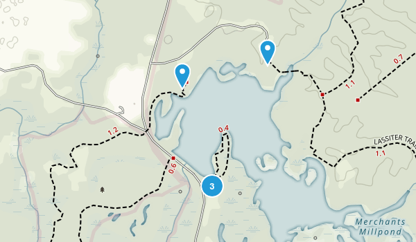 Best Trails in Merchants Millpond State Park - North Carolina | AllTrails