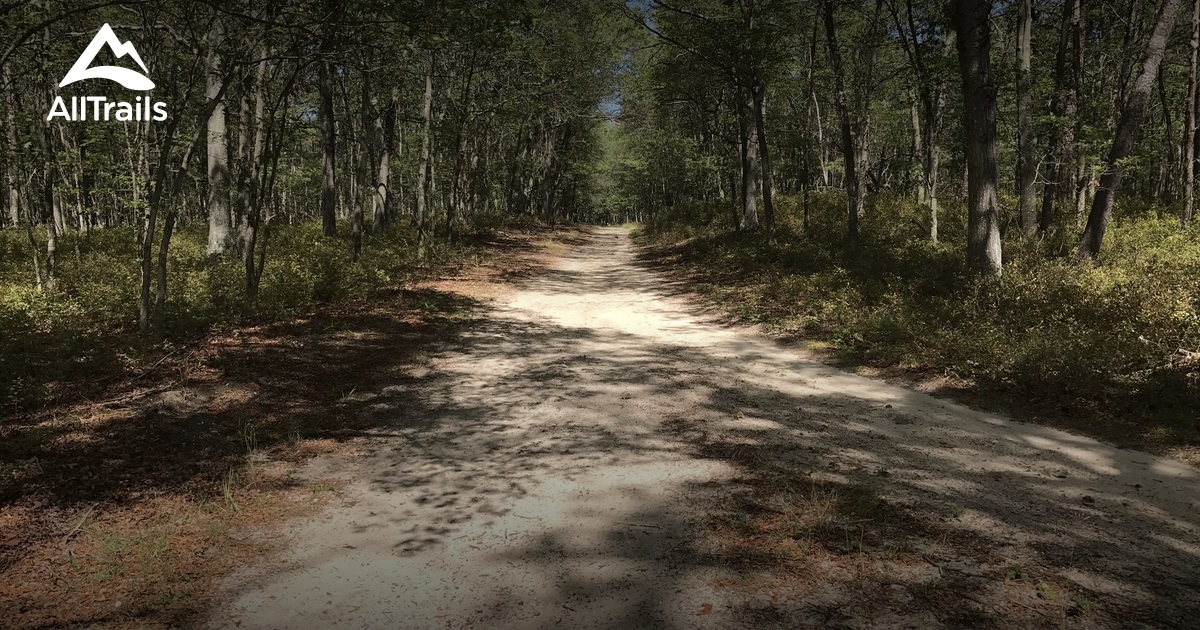 Best Trails in Brookhaven State Park - New York | AllTrails