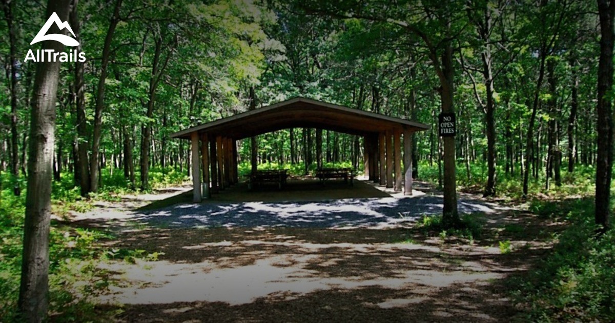 Best Trails in Brookhaven State Park - New York | AllTrails