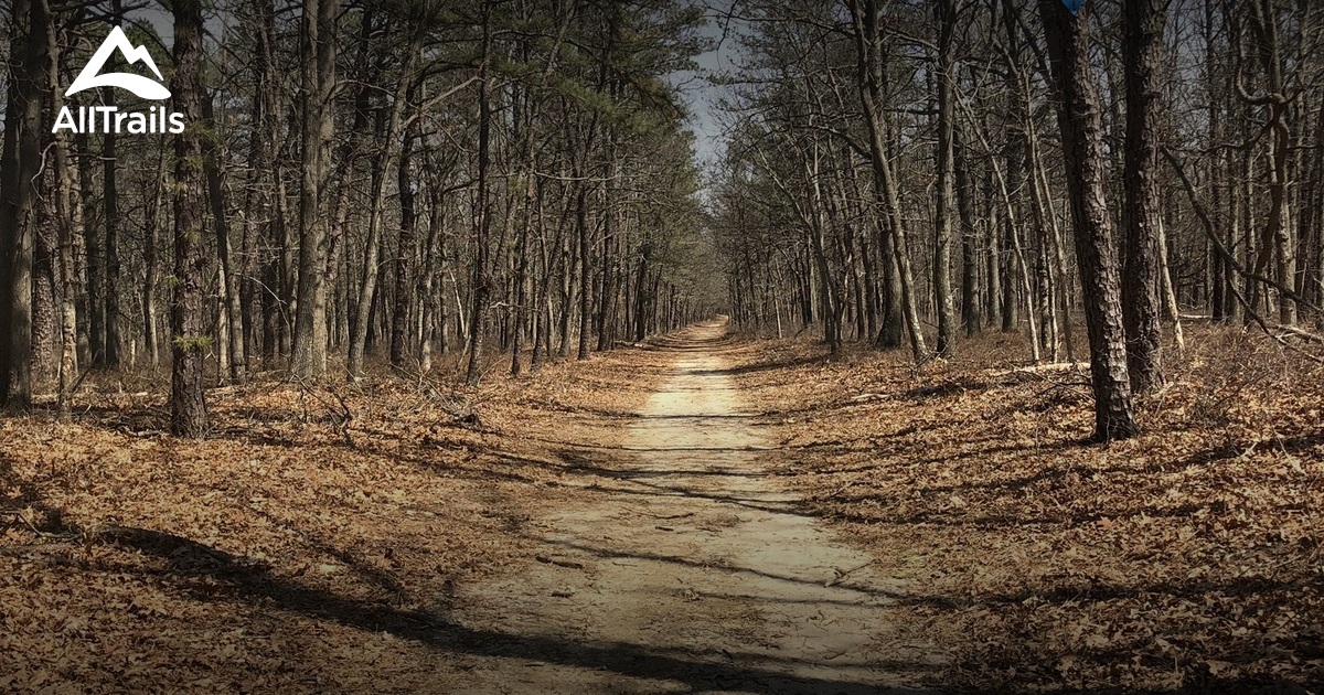Best Trails in Brookhaven State Park - New York | AllTrails