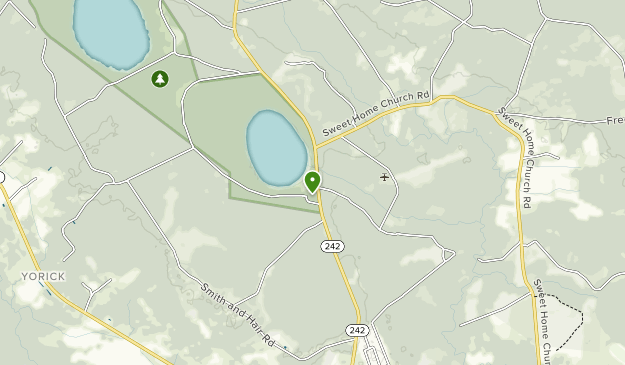 Best Trails in Jones Lake State Park - North Carolina | AllTrails