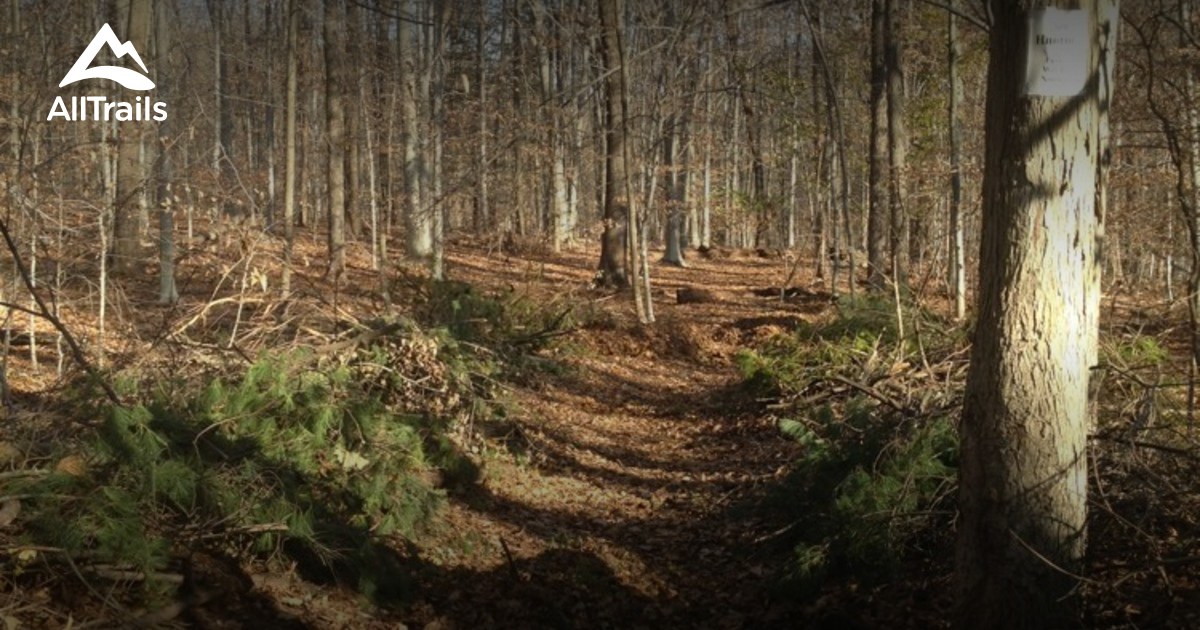 Best Trails in Franklin D. Roosevelt State Park - New York | AllTrails