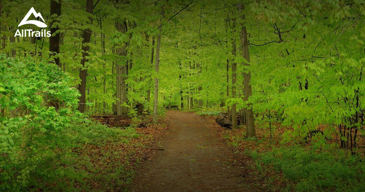 Best Trails in Knox Farm State Park - New York | AllTrails