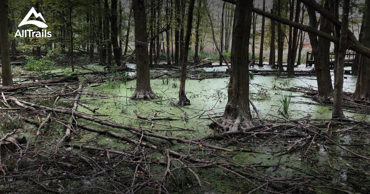 Best Trails in Maumee Bay State Park - Ohio | AllTrails