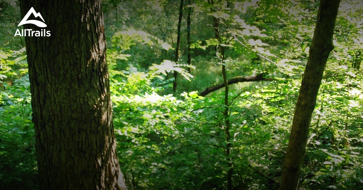 Best Trails in Rocky Fork State Park - Ohio | AllTrails