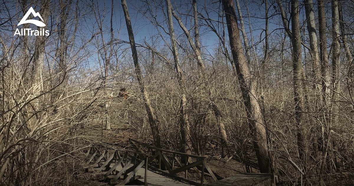 Best Trails in Sycamore State Park - Ohio | AllTrails