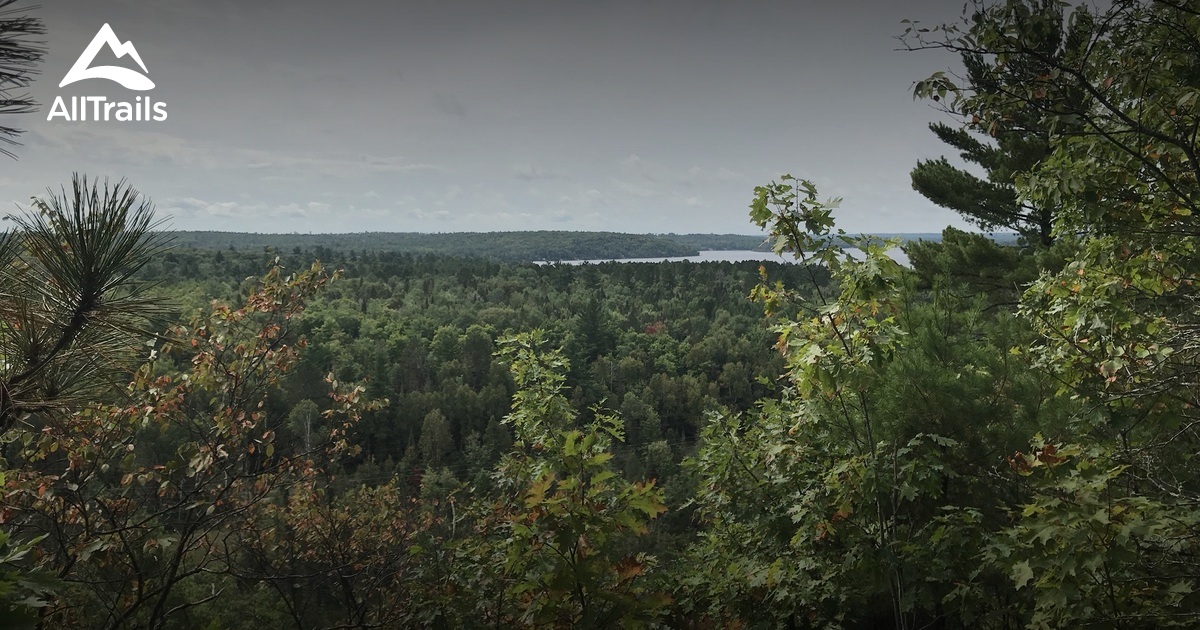 Best hikes and trails in Van Riper State Park | AllTrails