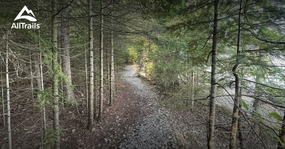 Best hikes and trails in Onaway State Park | AllTrails