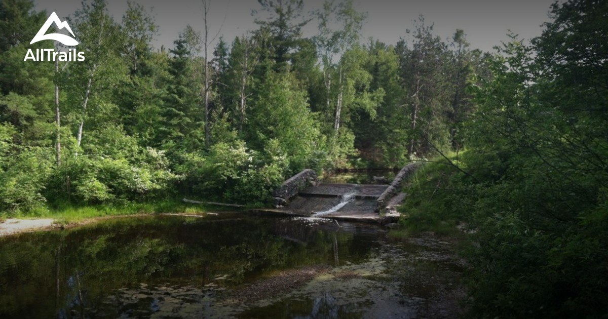 Best trails in Hoeft State Park, Michigan | AllTrails