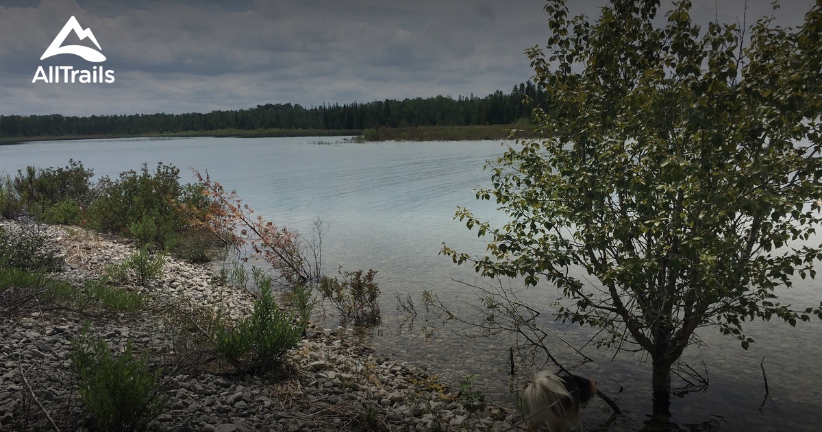 Best trails in Thompson's Harbor State Park, Michigan | AllTrails