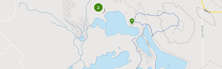 Best 10 Trails in Rifle River Recreation Area | AllTrails