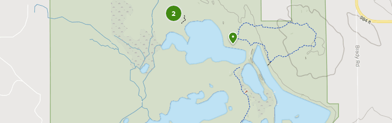 Best Trails in Rifle River Recreation Area | AllTrails