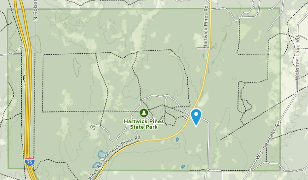 Best Trails in Hartwick Pines State Park - Michigan | AllTrails