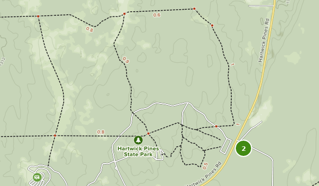 Best Trails in Hartwick Pines State Park - Michigan | AllTrails