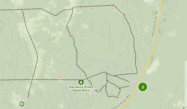 Best Trails in Hartwick Pines State Park - Michigan | AllTrails