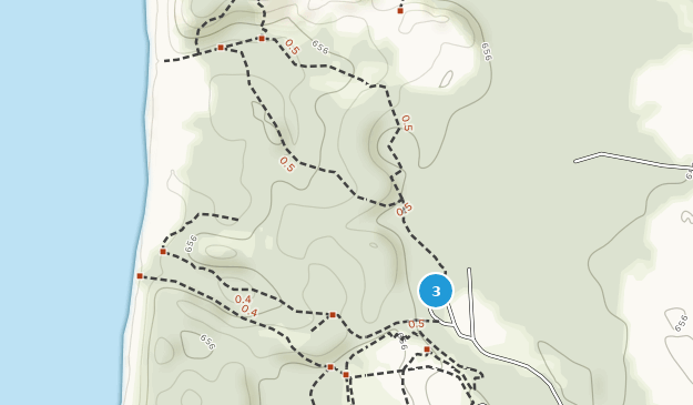 Best Trails in Saugatuck Dunes State Park - Michigan | AllTrails