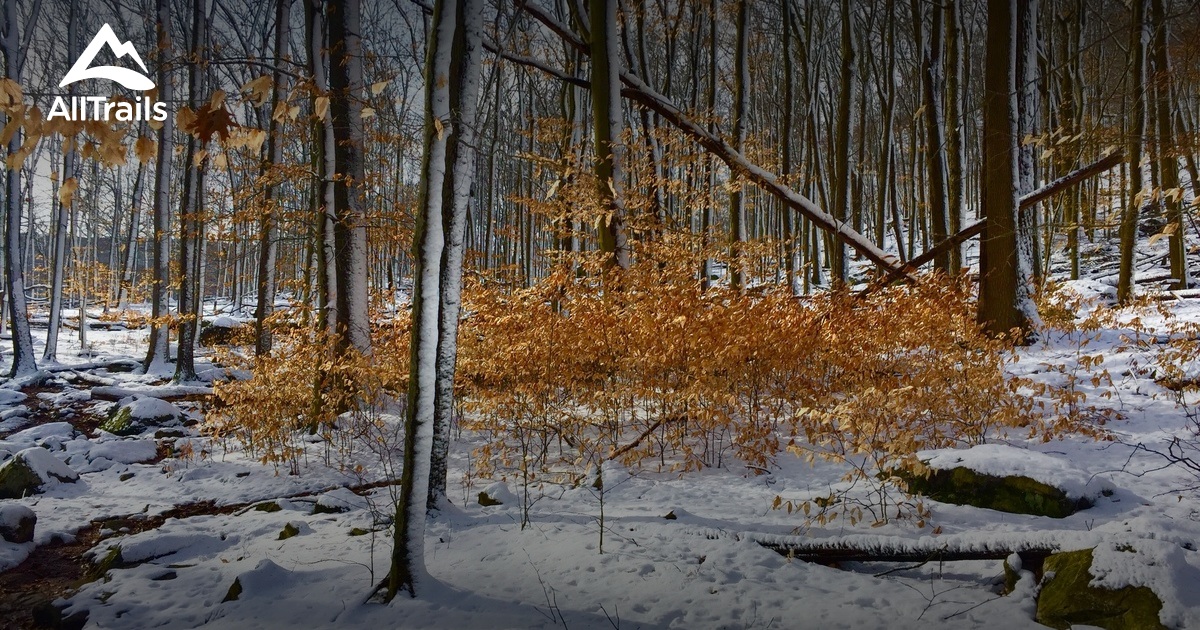 Best Trails in Rockland Lake State Park - New York | AllTrails