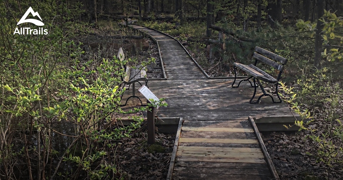 Best Trails in Yankee Springs Recreation Area | AllTrails.com