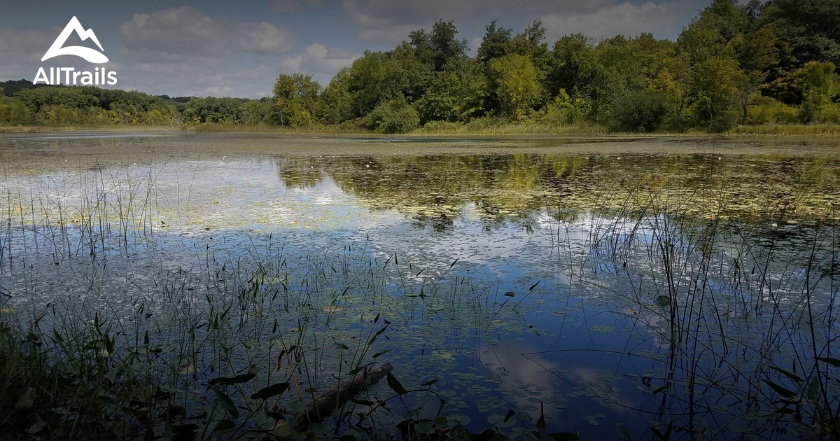 10 Best hikes and trails in Pinckney Recreation Area | AllTrails