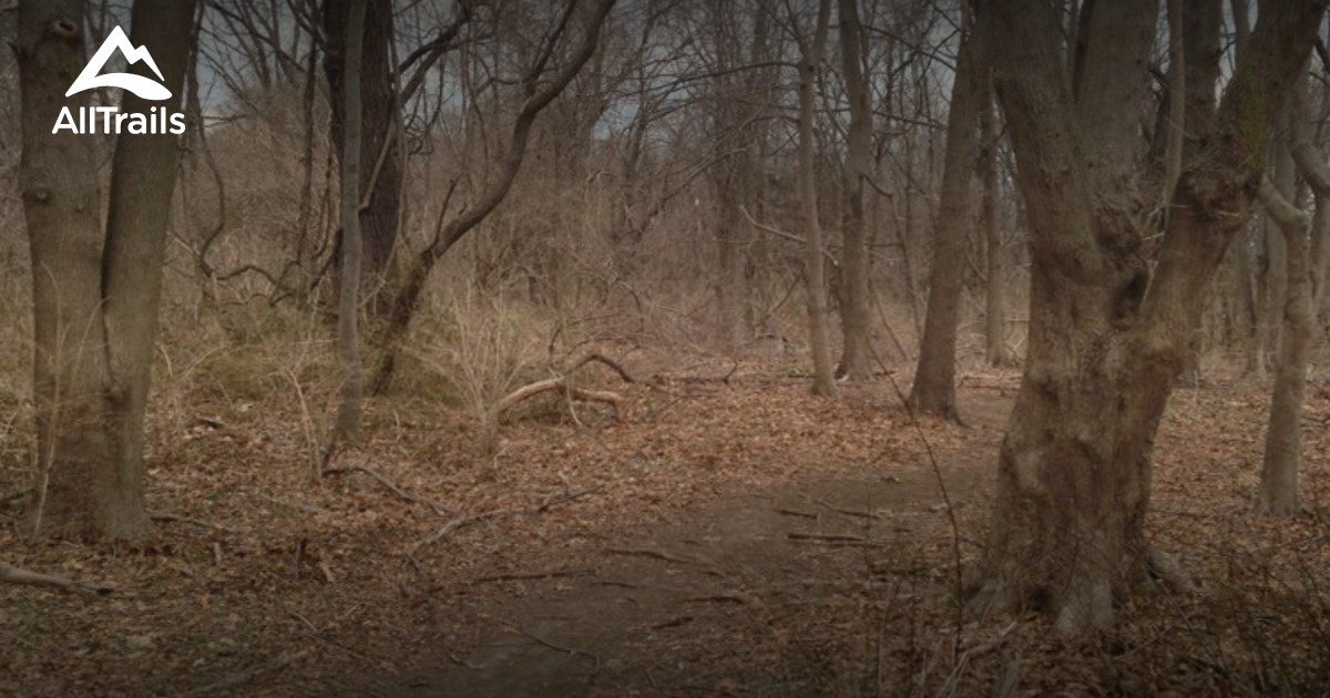 Best Trails in Trail View State Park - New York | AllTrails