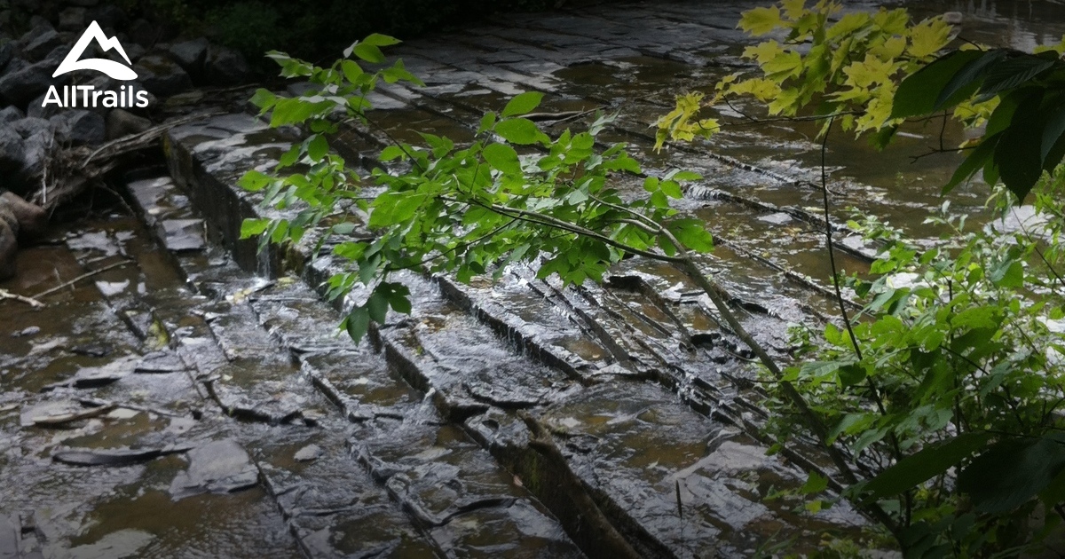 Best Trails in Whetstone Gulf State Park - New York | AllTrails